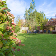 Dove Tree House - Stonehaven Care Group | Residential Care in Devon and ...